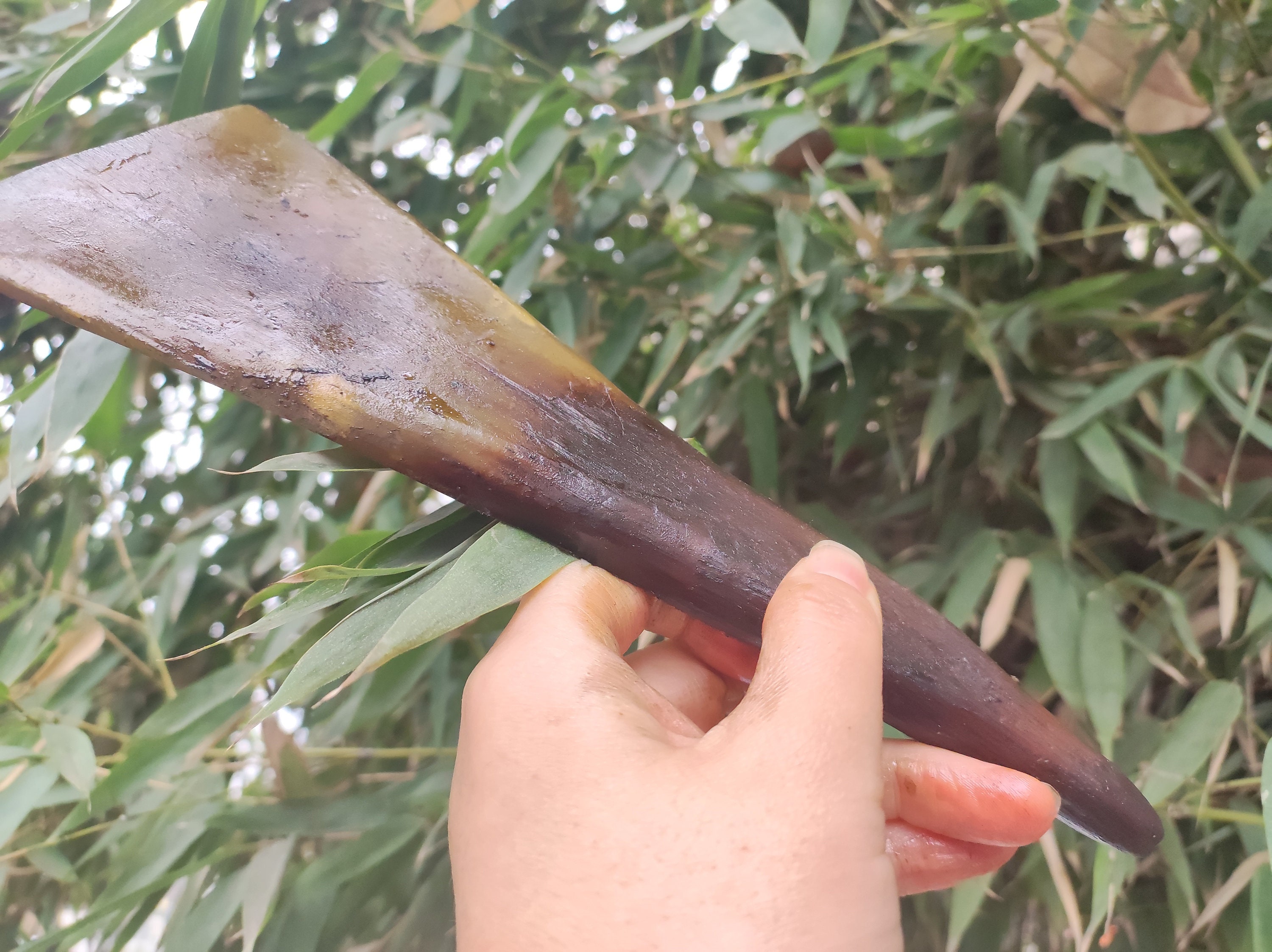 1pic 20cm Real Natural Sheep Horn Scale for Knife Handle, Ram Horn ...