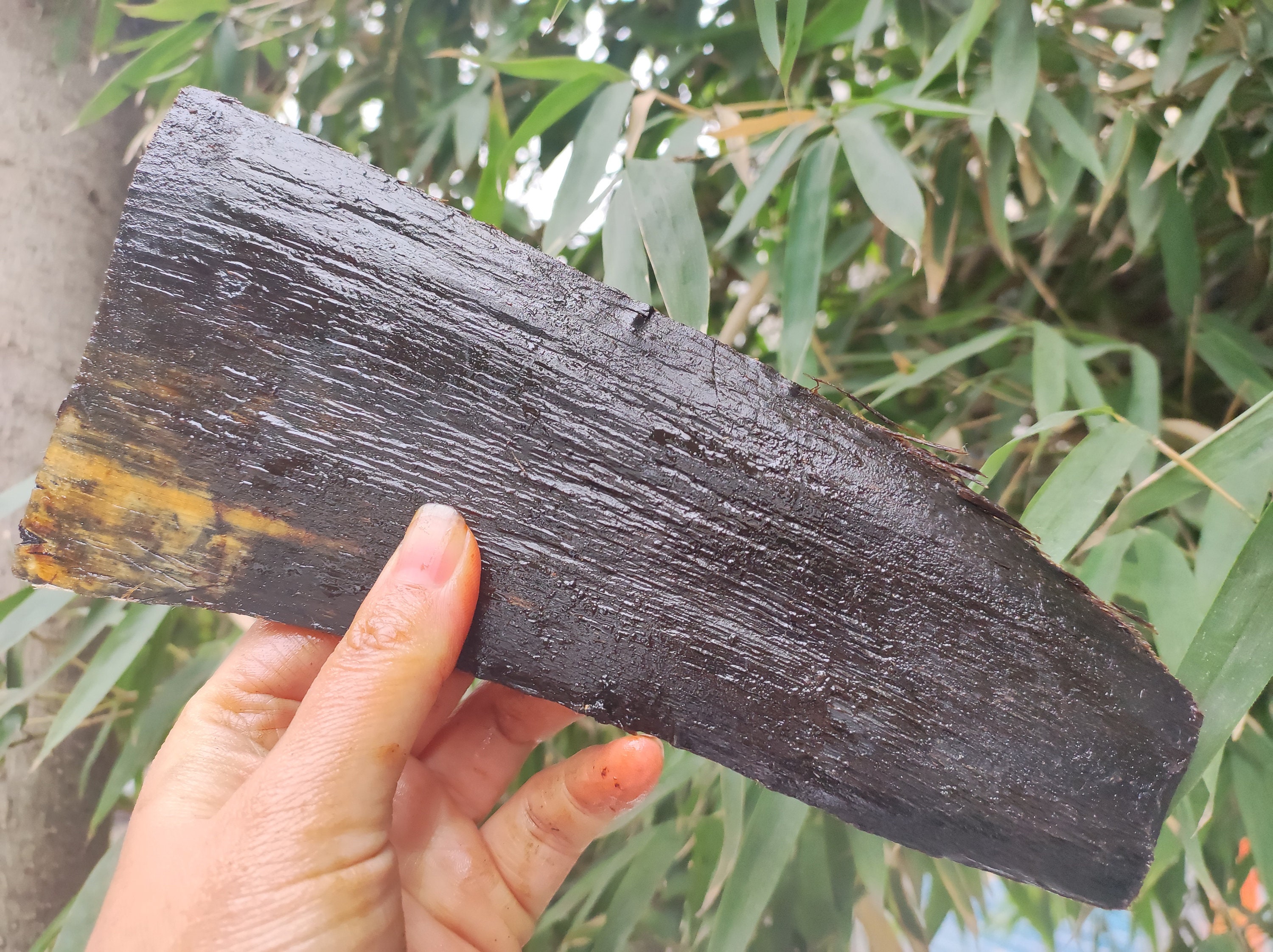 1pic 20 Cmreal Natural Sheep Horn Scale for Knife Handle, Ram Horn ...