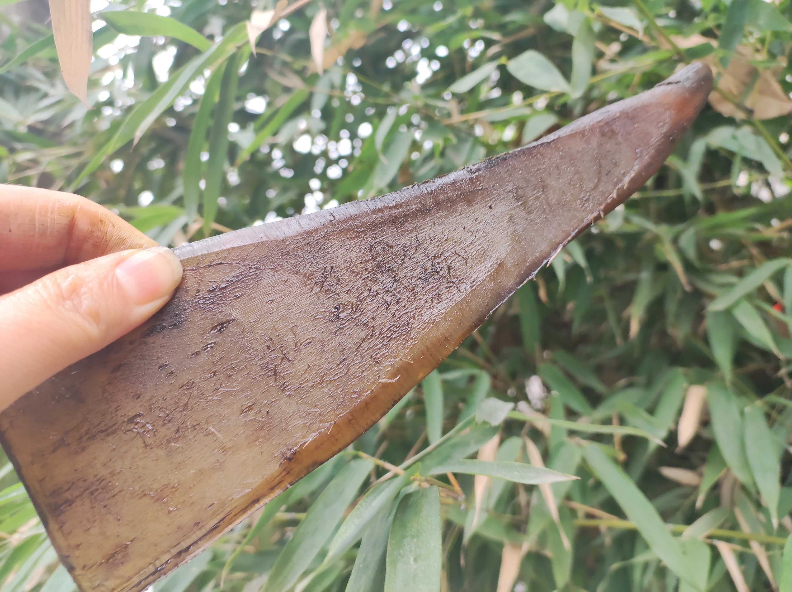 1pic 20cm Real Natural Sheep Horn Scale for Knife Handle, Ram Horn ...