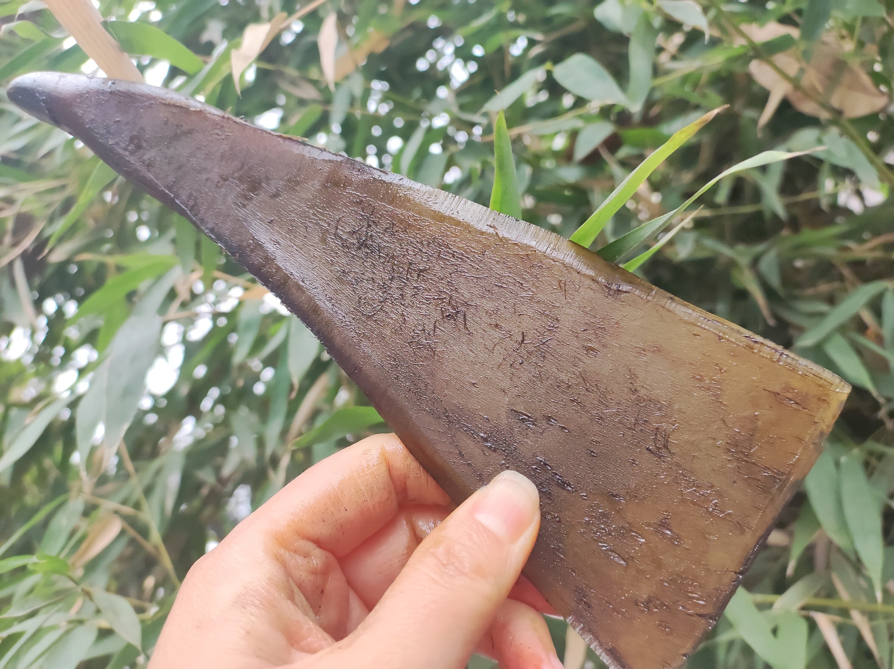 1pic 20cm Real Natural Sheep Horn Scale for Knife Handle, Ram Horn ...