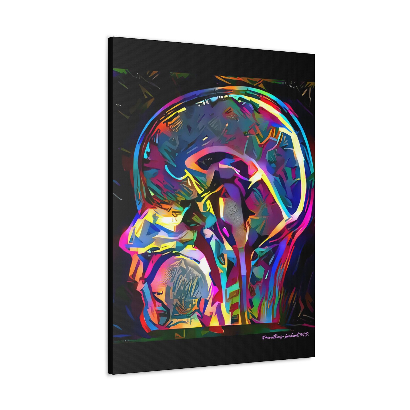 Brain Anatomy in Pop Art Style Ready to Hang Canvas Bright - Etsy