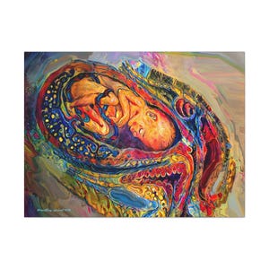Fetal Anatomy in Bright Color , Canvas, Anatomy Radiology Wall Art ...