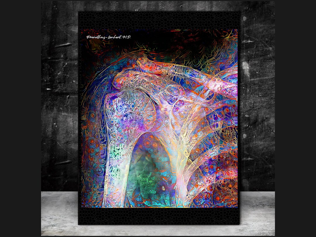 Shoulder Anatomy in Bright Color Ready to Hang Canvas Anatomy ...