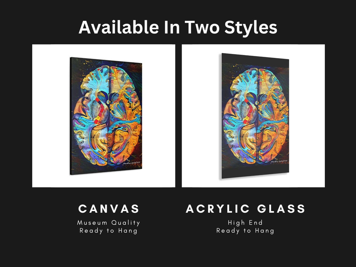 Brain Anatomy Art, Canvas or Acrylic, “alba Materia Cerebri” Doctors ...