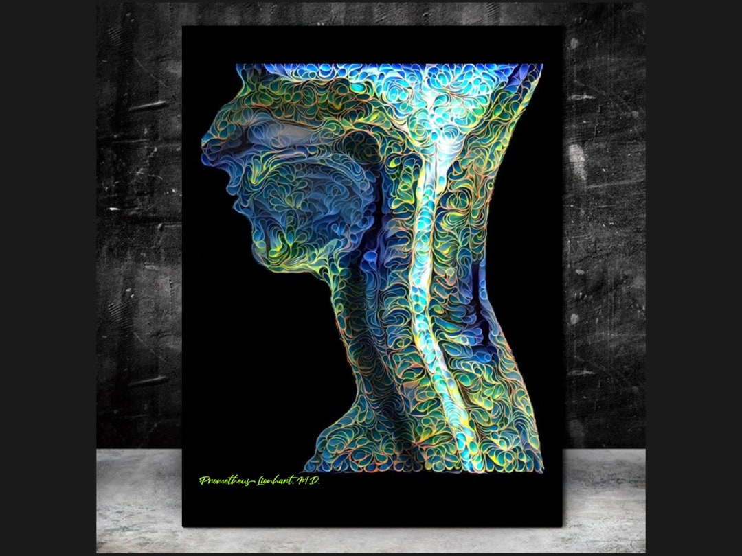 Neck and Brain Anatomy, Canvas ENT Neurosurgery Radiology Orthopedics ...