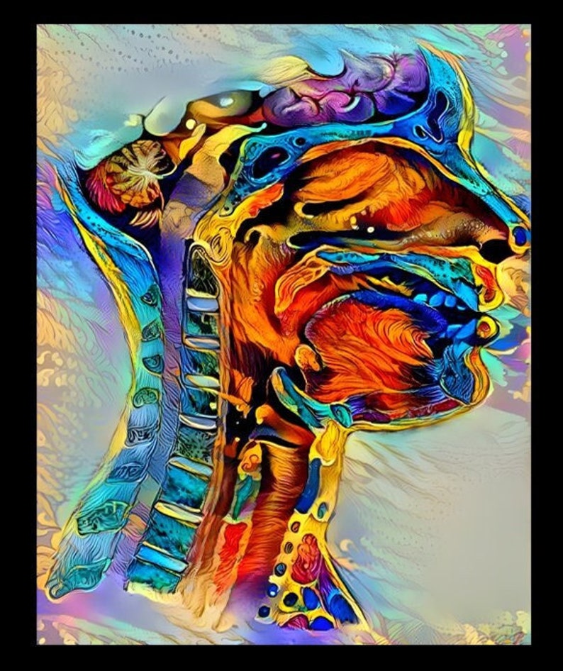Neck and Brain Anatomy canvas ENT Radiology Wall Art - Etsy