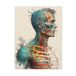 Watercolor Human Anatomy, Ready to Hang Canvas or Acrylic Skeleton Art ...