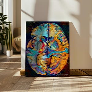 Brain Anatomy Art, Canvas or Acrylic, “alba Materia Cerebri” Doctors ...