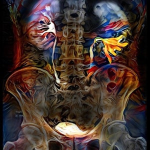 Kidney Anatomy With Drooping Lilly, Canvas, Anatomy Radiology Urology ...