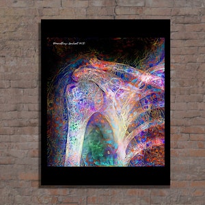 Shoulder Anatomy in Bright Color Ready to Hang Canvas Anatomy ...