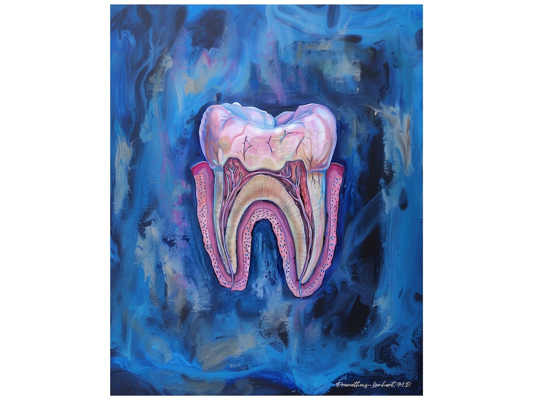 Dental Anatomy, Canvas, Orthodontist Art, Oral Surgeon Art, Wall Art ...