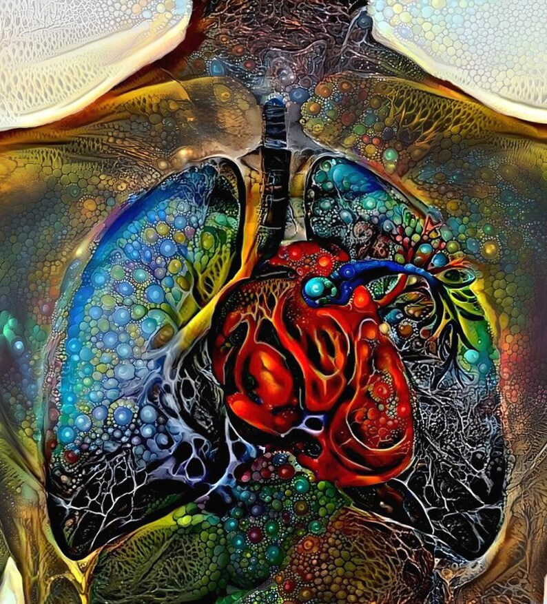 Chest Lung Heart Anatomy in Bright Color Canvas Anatomy Art - Etsy