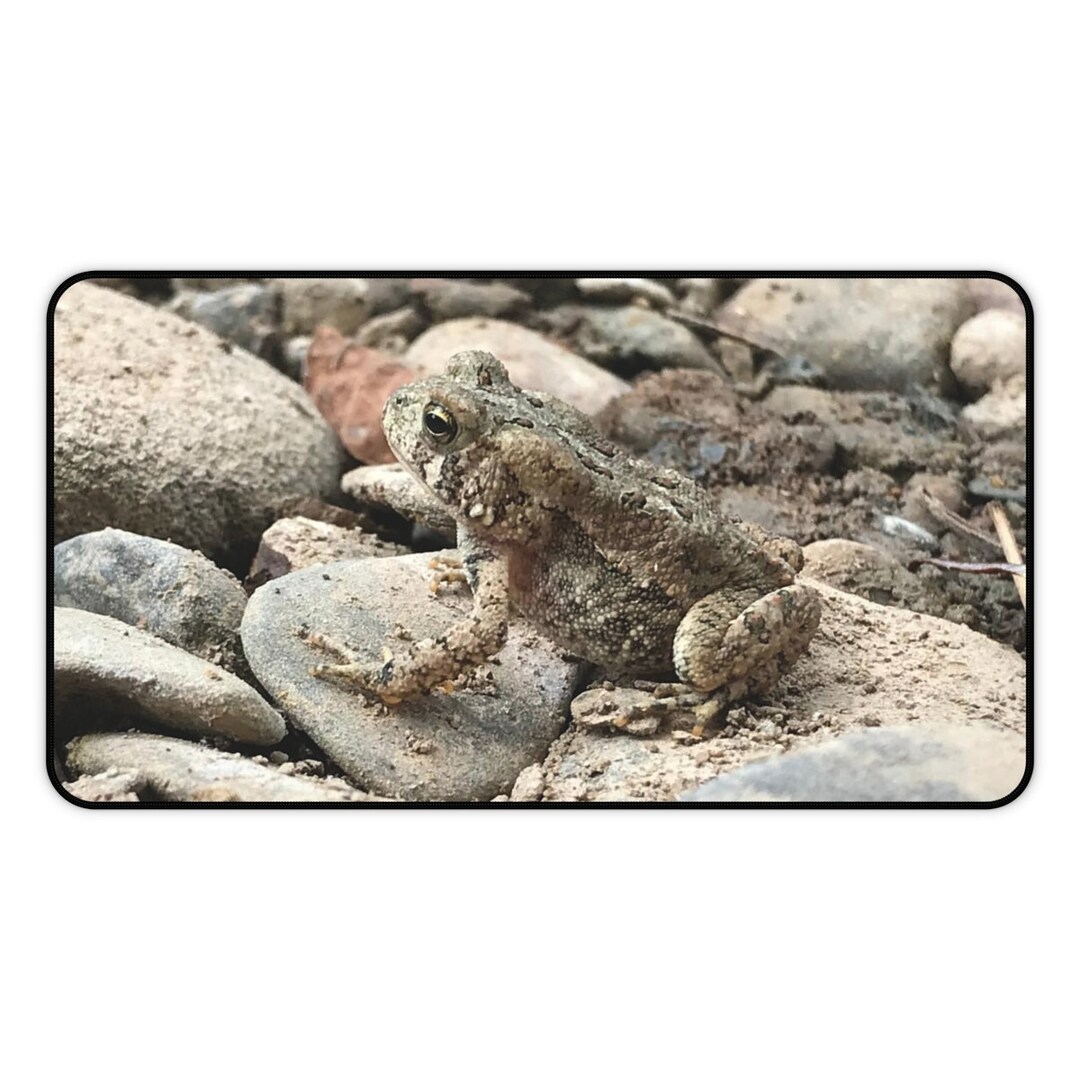 Playmat Toadstone - Etsy