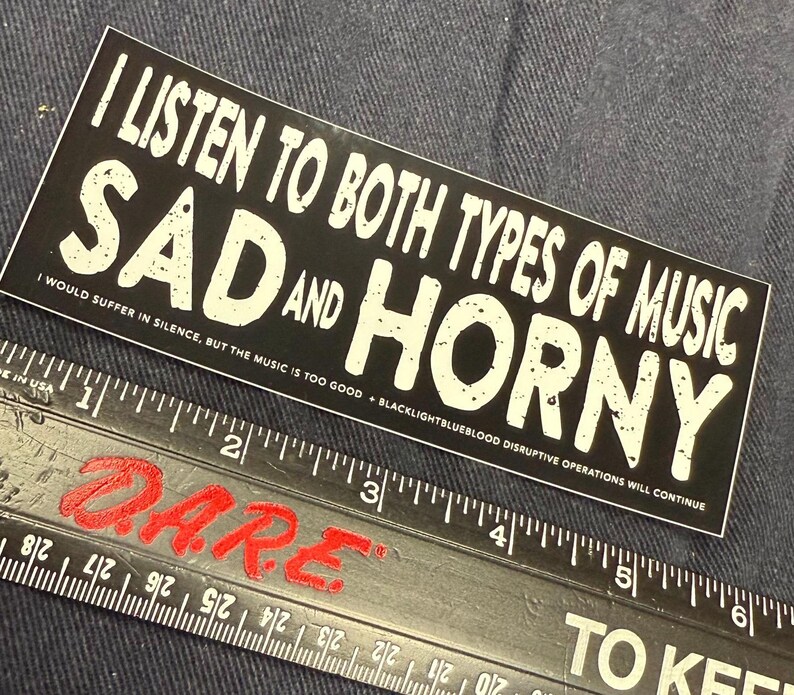 I Listen to Both Types of Music Sad and Horny Bumper Sticker - Etsy