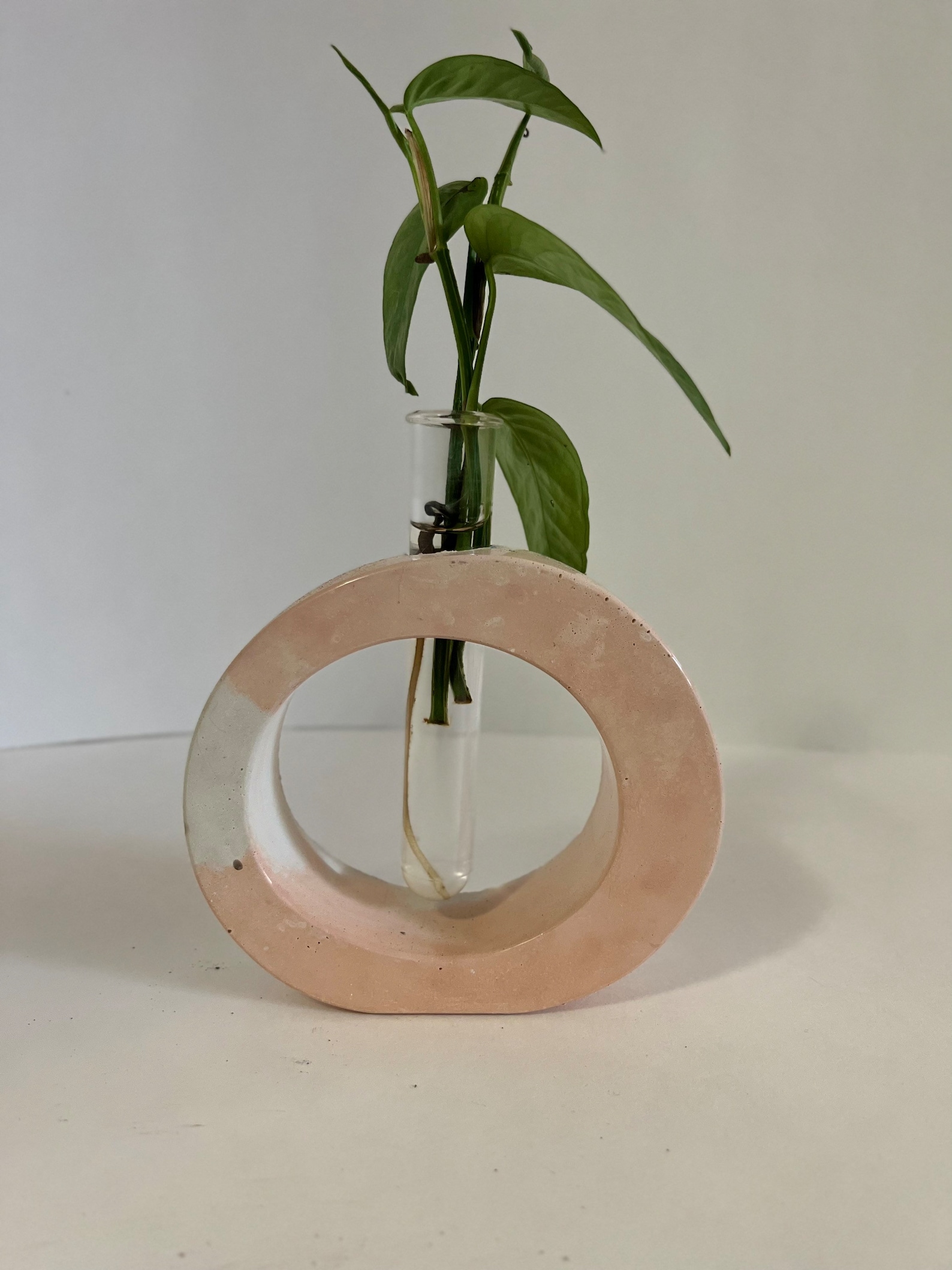 Concrete Propagation Station, Plant Propagation Vase With Acrylic Tube ...
