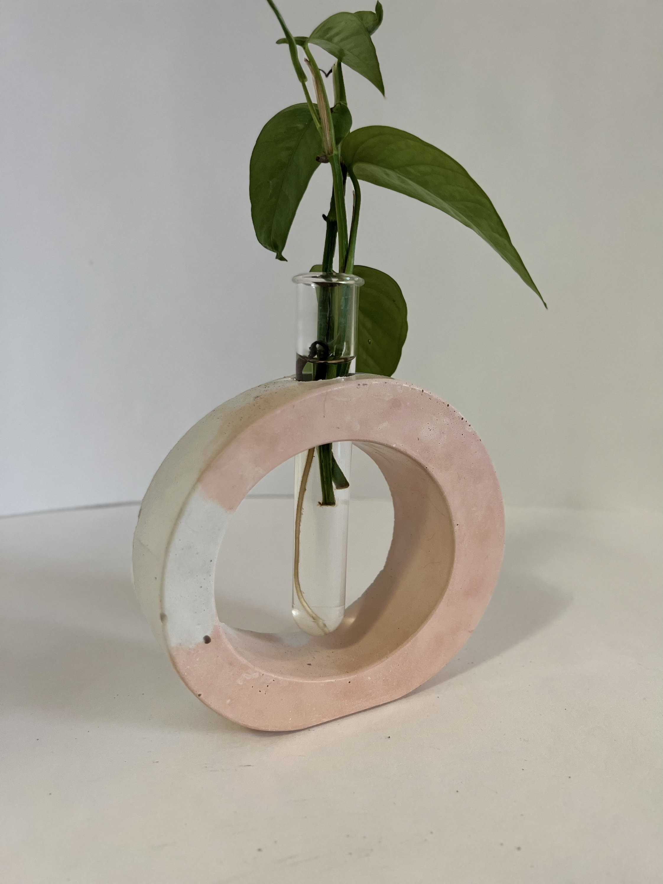 Concrete Propagation Station, Plant Propagation Vase With Acrylic Tube ...