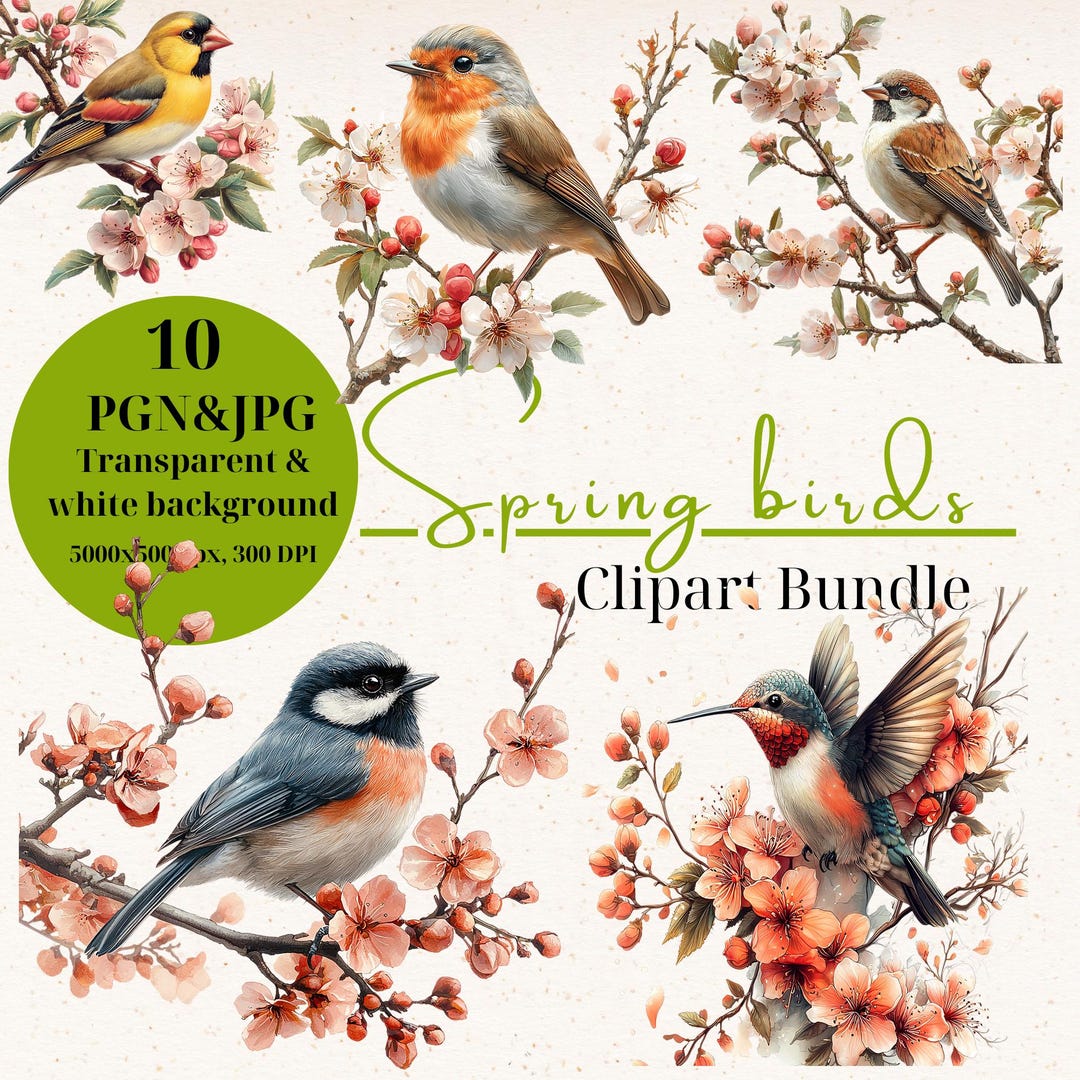 Spring Birds Clipart Set - Watercolor Garden Bird Images for Commercial ...