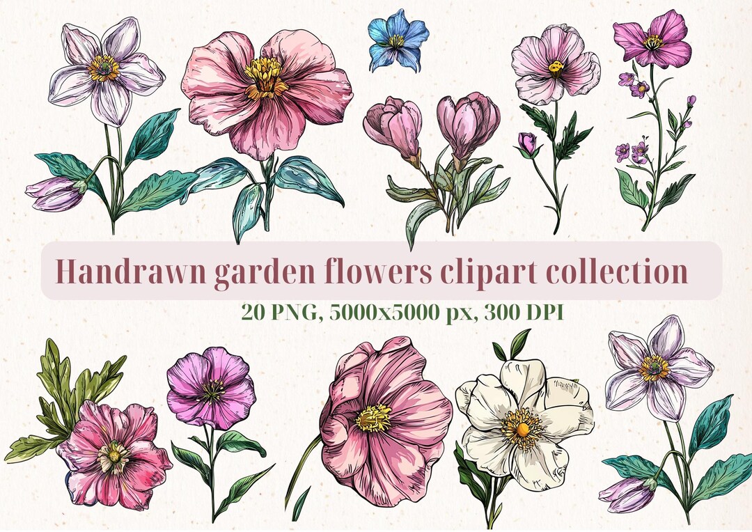 Hand Drawn Flower Clipart Bundle | Garden Floral Illustrations (PNG) - Etsy