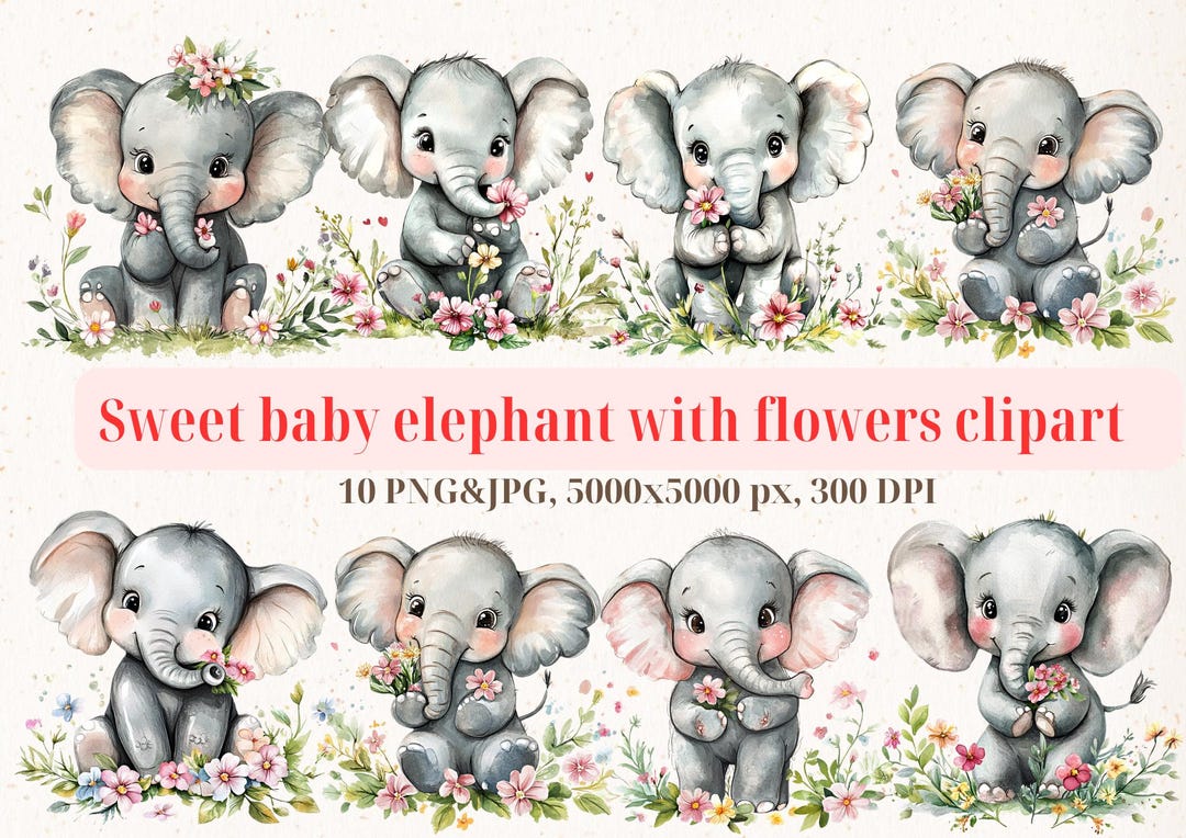 Watercolor Floral Baby Elephant Clipart Bundle (digital Download) - Etsy