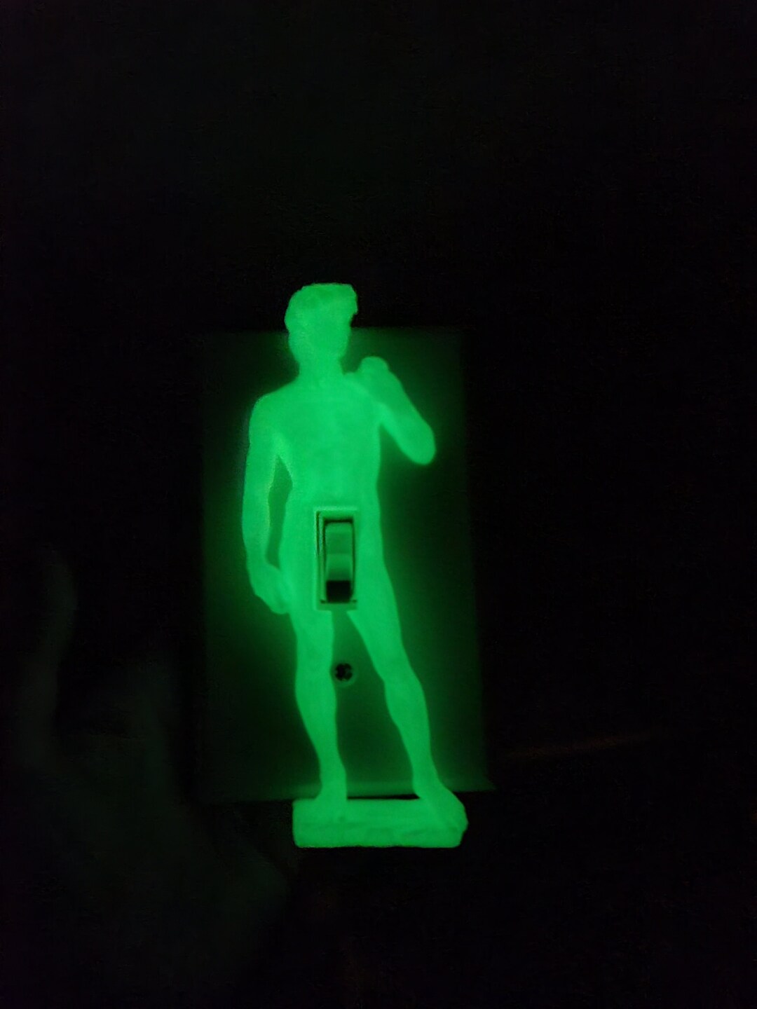 Michelangelo David Light Switch Cover, Home Decor, Dick Switch - Etsy