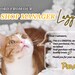 SVG Halloween Popup Sphere Template Bundle , 3D Papercraft, Popup Card ...