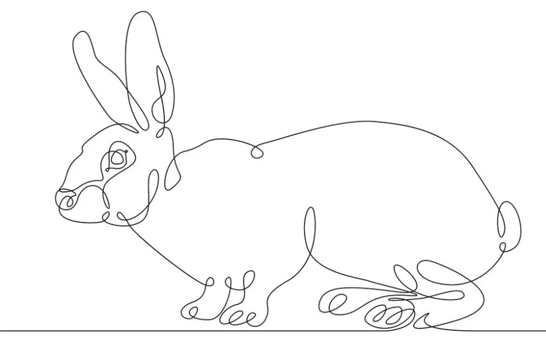 Continuous Line Drawing Rabbit Hare Image - Etsy