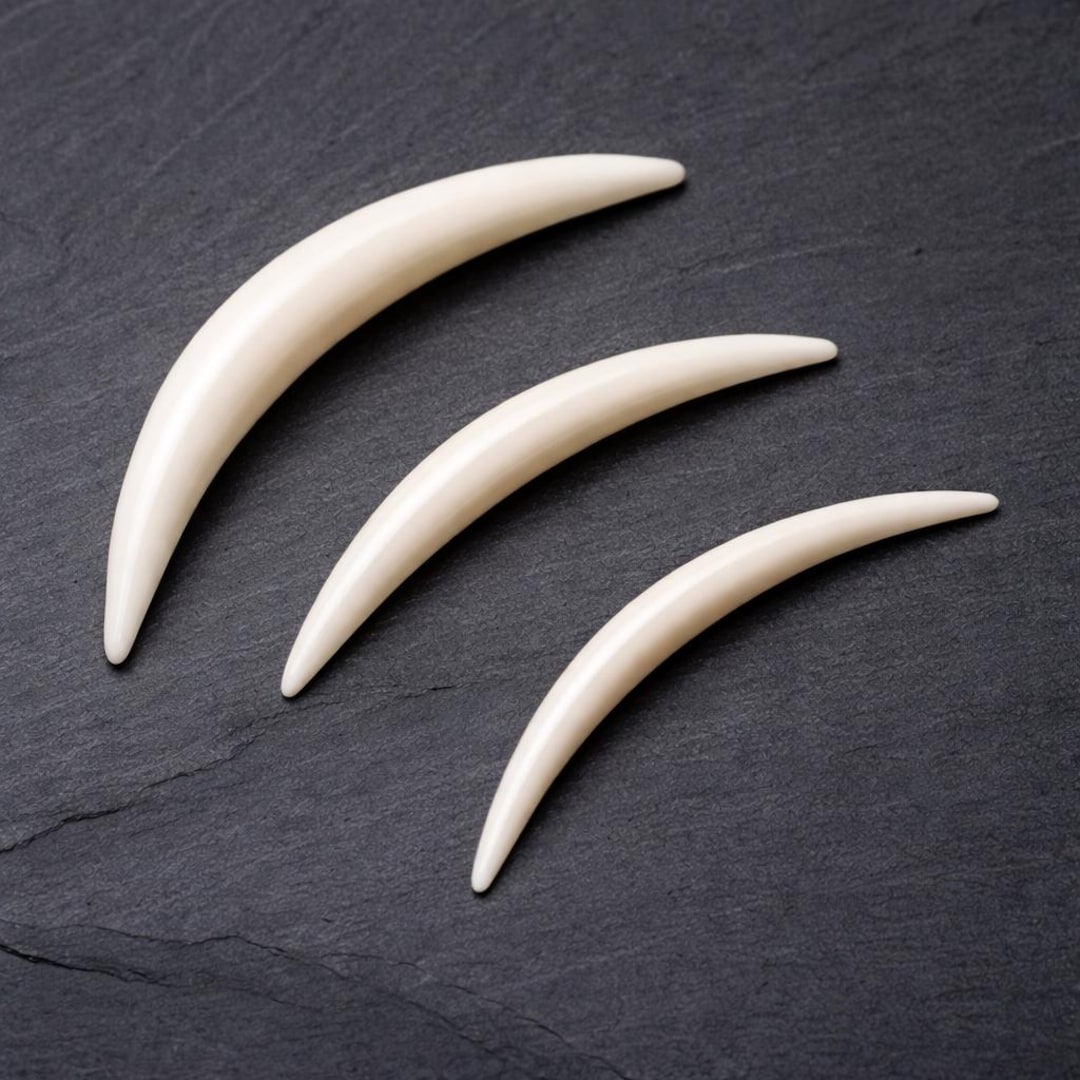 Organic White Buffalo Bone Septum Tusk – Curved Septum Jewelry – 8G 6G ...