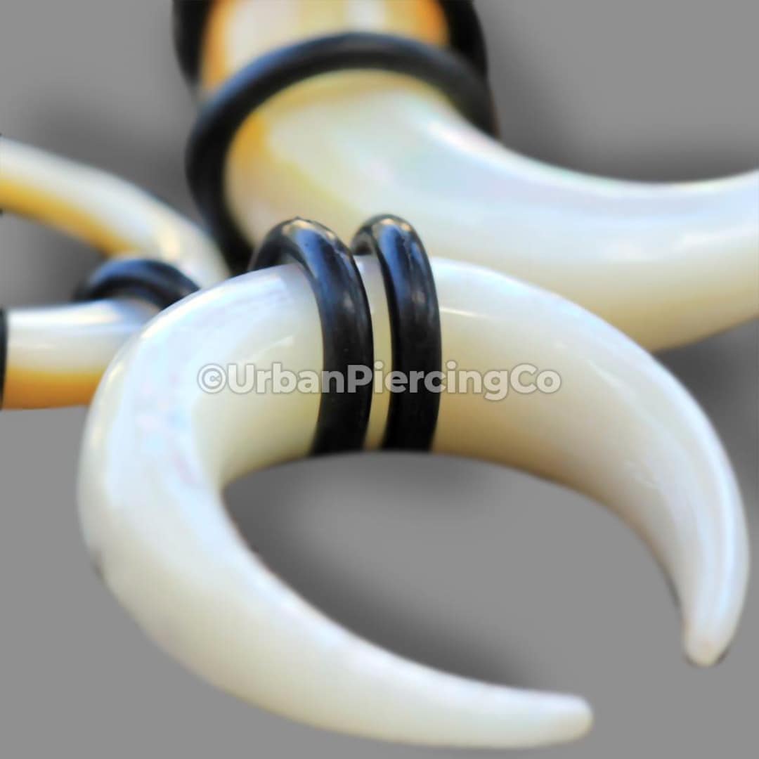 Organic Mother of Pearl Pincher Taper Earrings With O-rings ...
