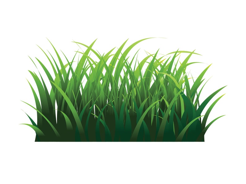 Green Grass Borders Clipart, Lawn Frame Png Svg Eps Ai, Field ...
