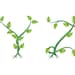 Plant Alphabet Clipart, Botanical Alphabet Vector Png Svg Eps Ai ...