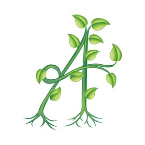 Plant Alphabet Clipart, Botanical Alphabet Vector Png Svg Eps Ai ...