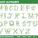 Plant Alphabet Clipart, Botanical Alphabet Vector Png Svg Eps Ai ...