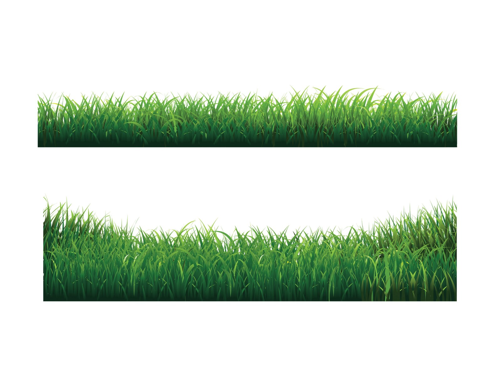 Green Grass Borders Clipart, Lawn Frame Png Svg Eps Ai, Field ...