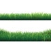 Green Grass Borders Clipart, Lawn Frame Png Svg Eps Ai, Field Decoration, Plant Ornament, Summer ...