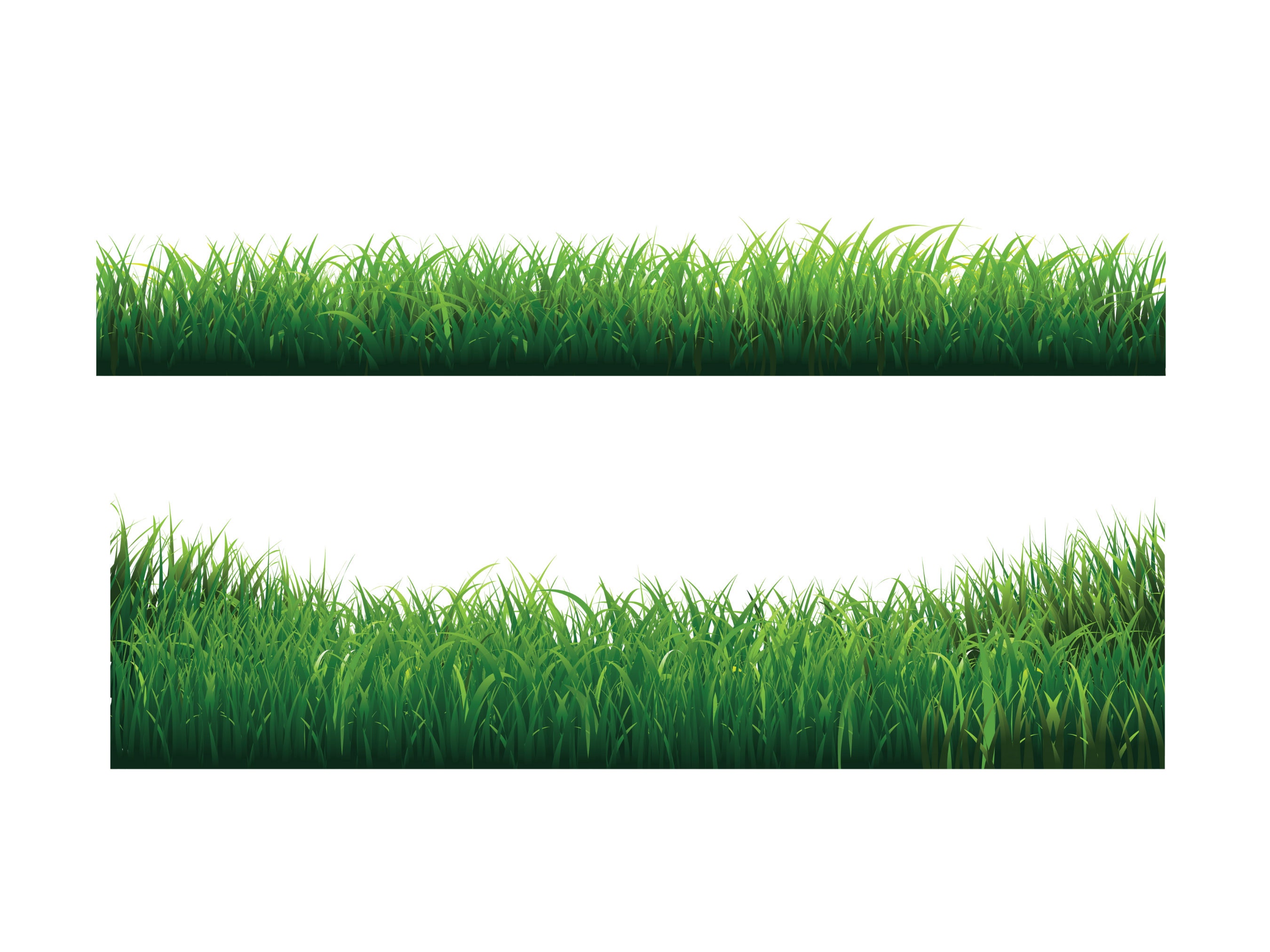 Green Grass Borders Clipart, Lawn Frame Png Svg Eps Ai, Field ...