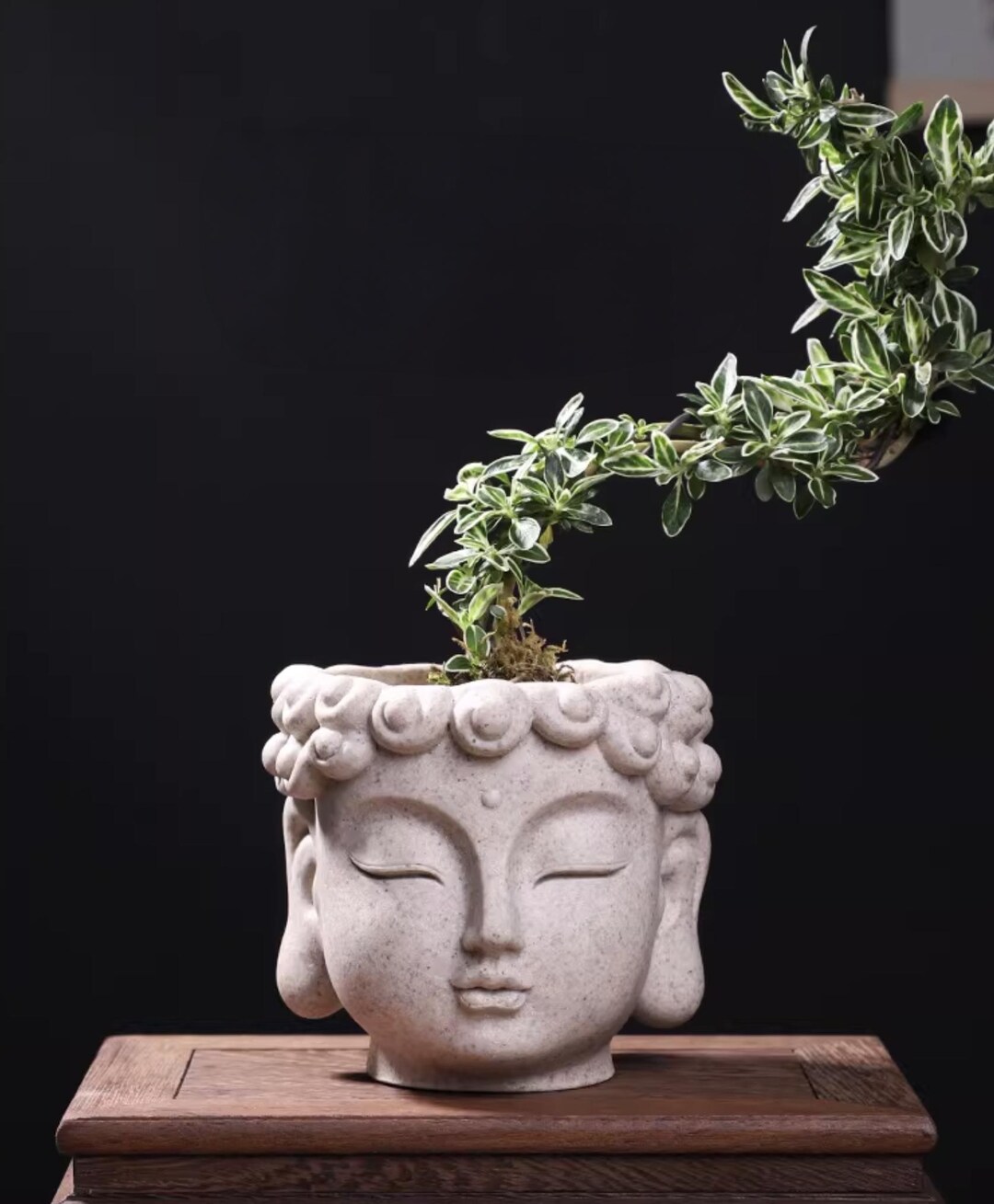 Zen Buddha Head Planter, Cute Monk Succulent Pot, Meditating Face ...