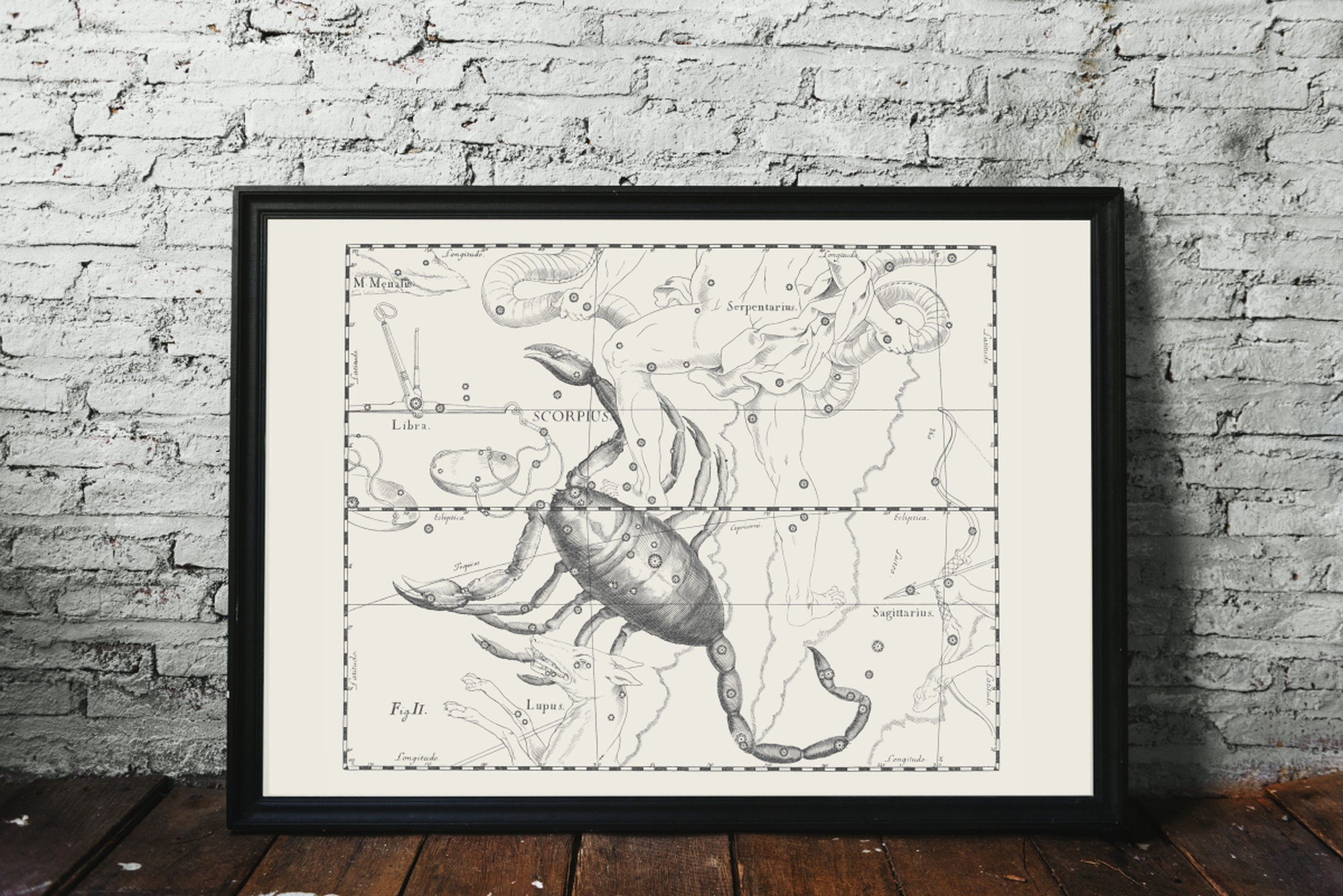 Scorpio Zodiac Sign Star Constellation, Scorpius on the Sky, Beautiful ...
