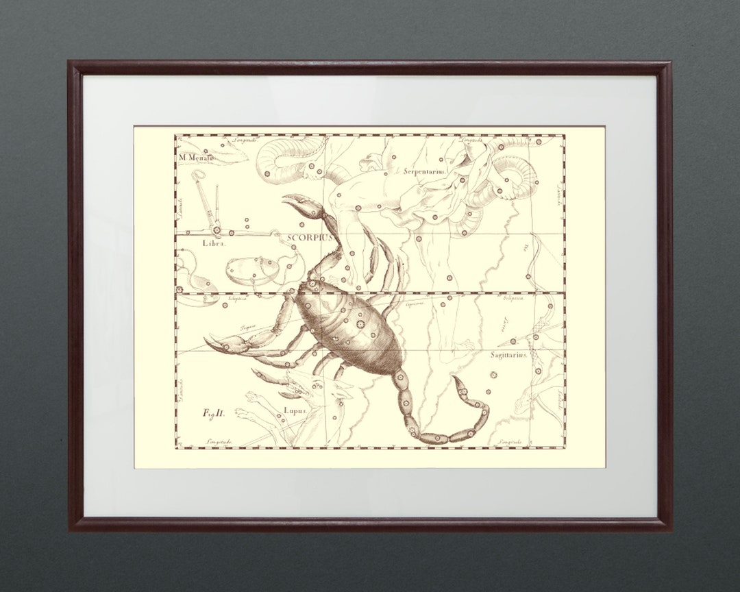 Scorpio Zodiac Sign Star Constellation, Scorpius on the Sky, Beautiful ...