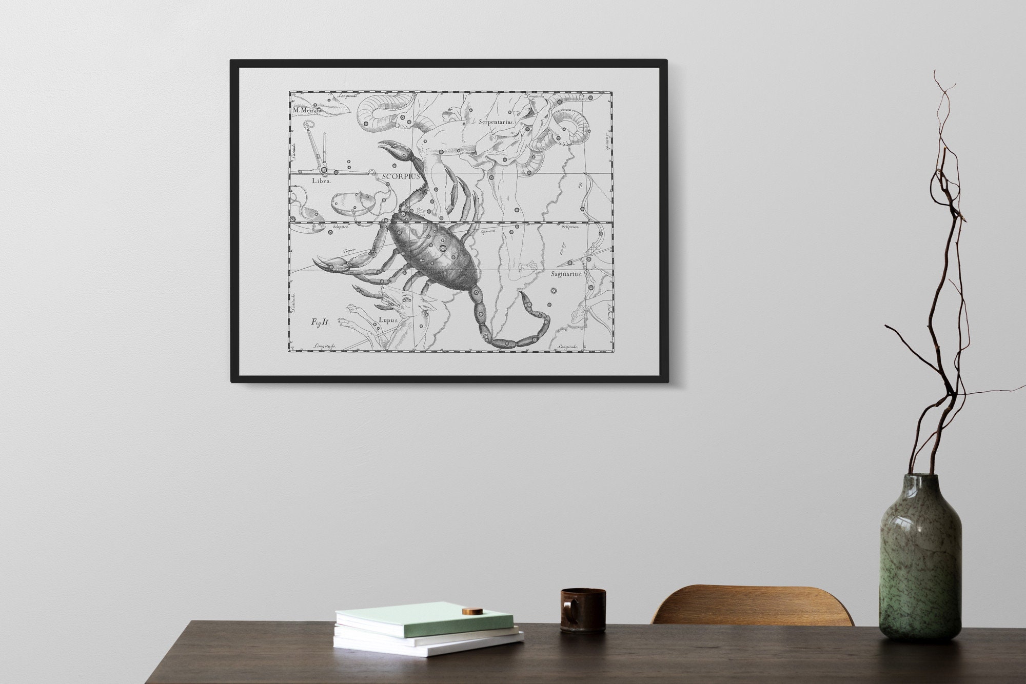 Scorpio Zodiac Sign Star Constellation, Scorpius on the Sky, Beautiful ...