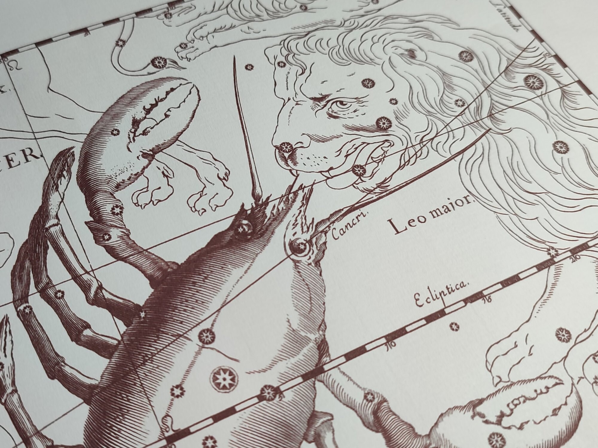 Scorpio Zodiac Sign Star Constellation, Scorpius on the Sky, Beautiful ...