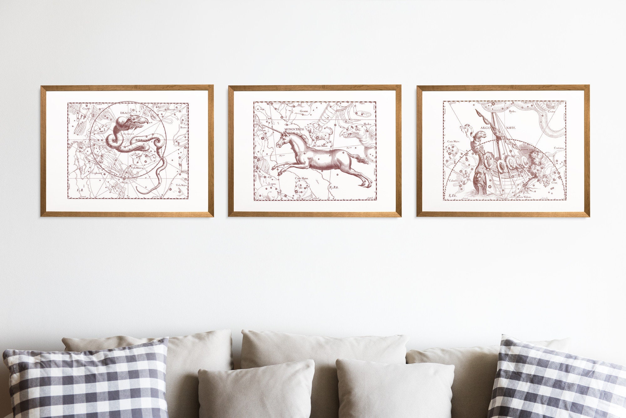 Argo Navis Star Constellation, Ship on the Sky, Beautiful Vintage Star ...