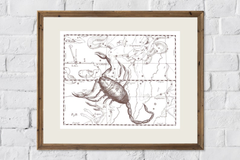 Scorpio Zodiac Sign Star Constellation, Scorpius on the Sky, Beautiful ...