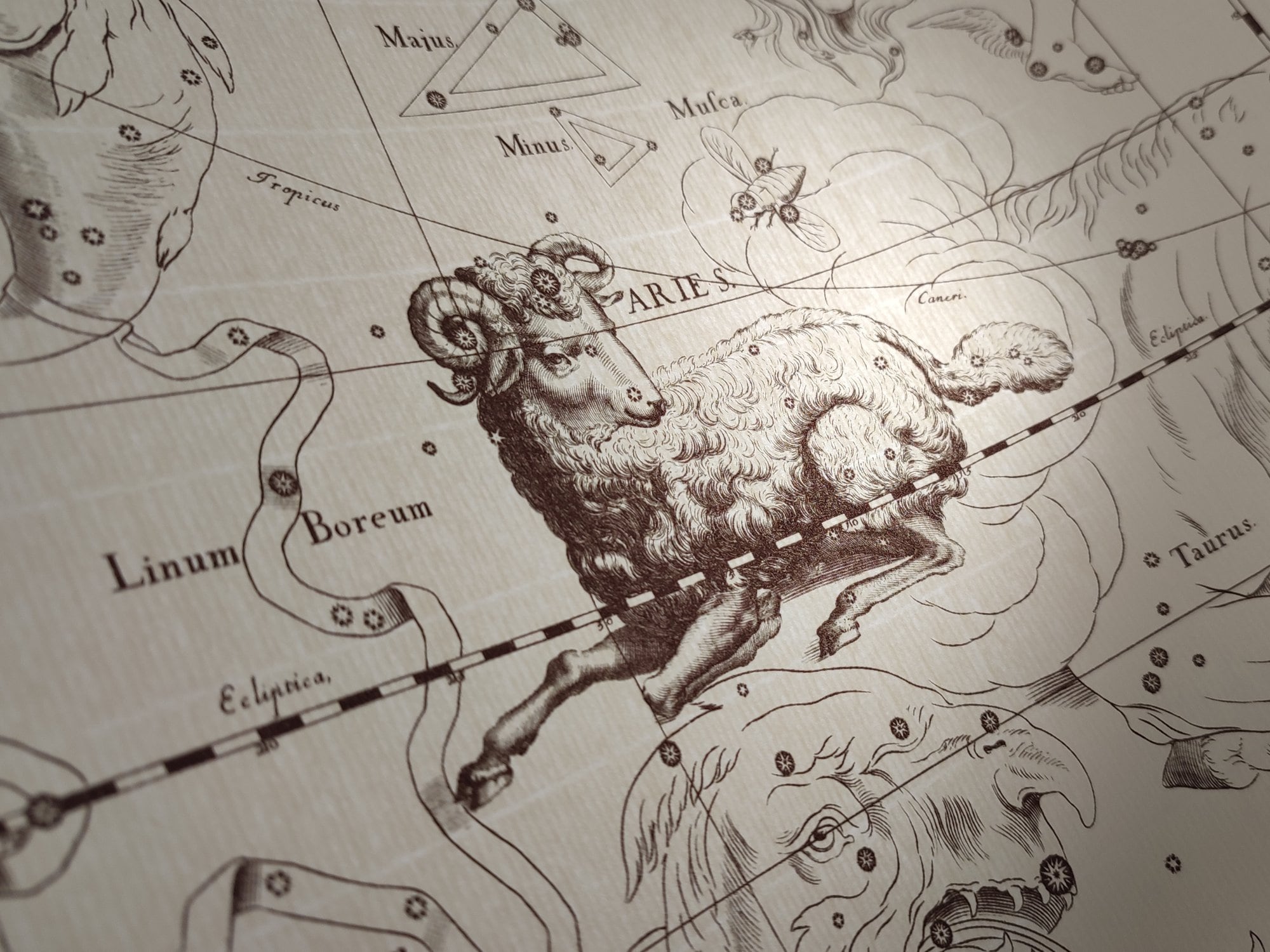 Argo Navis Star Constellation, Ship on the Sky, Beautiful Vintage Star ...