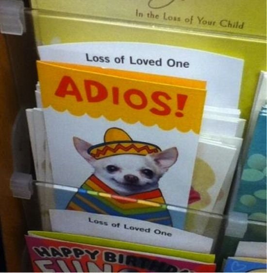 Adios Card Chihuahua Meme - Etsy Polska
