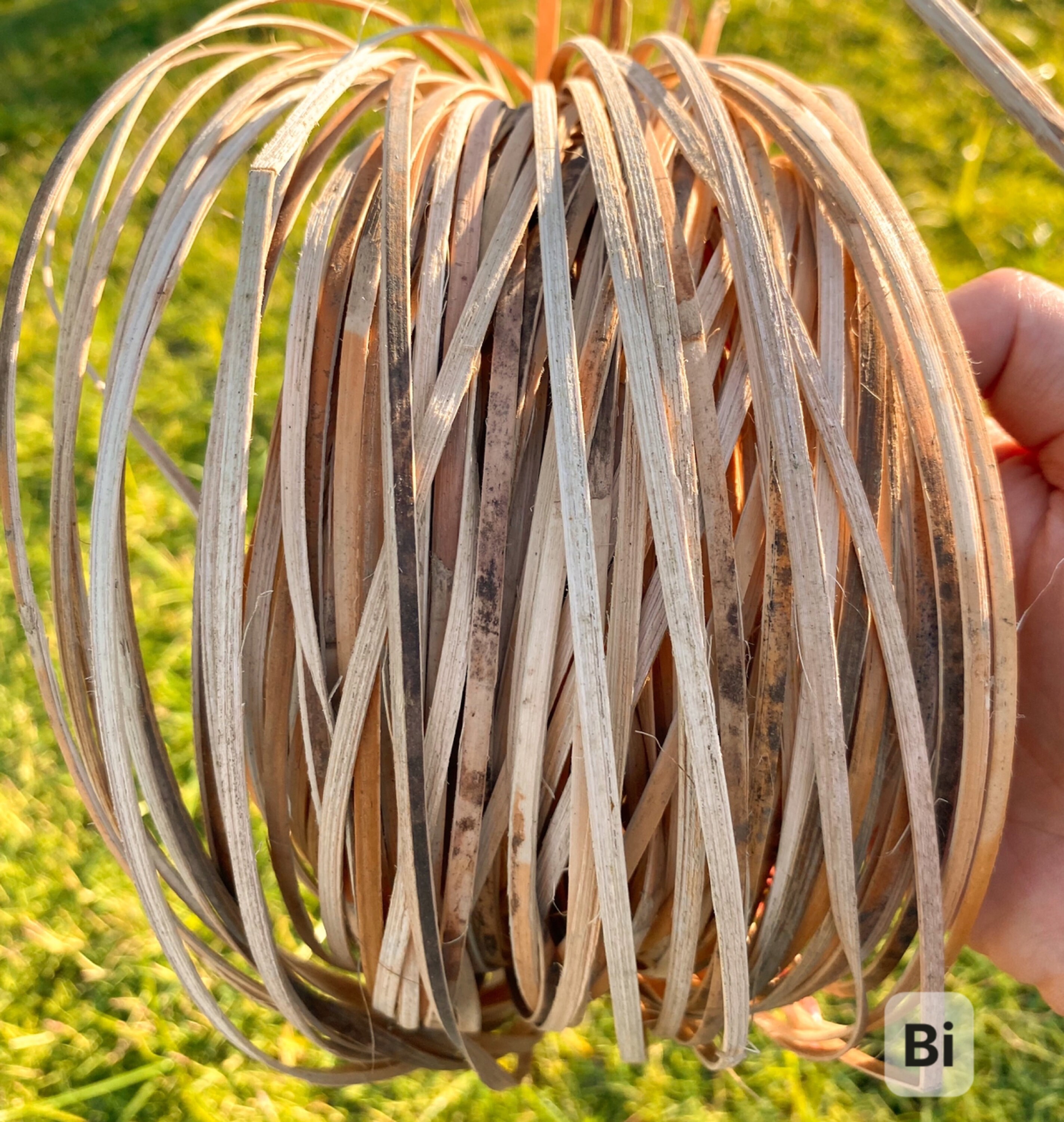 Rattan Corefine Cane Rattan Spline for DIY Rattan - Etsy UK