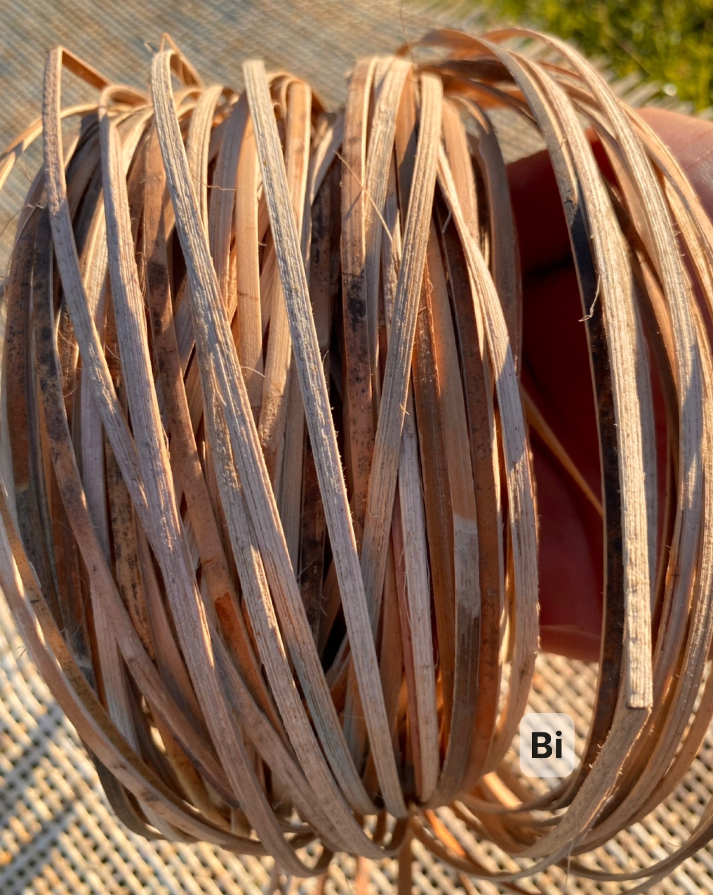 Rattan Corefine Cane Rattan Spline for DIY Rattan - Etsy UK