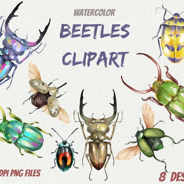 Watercolor Beetle - Etsy
