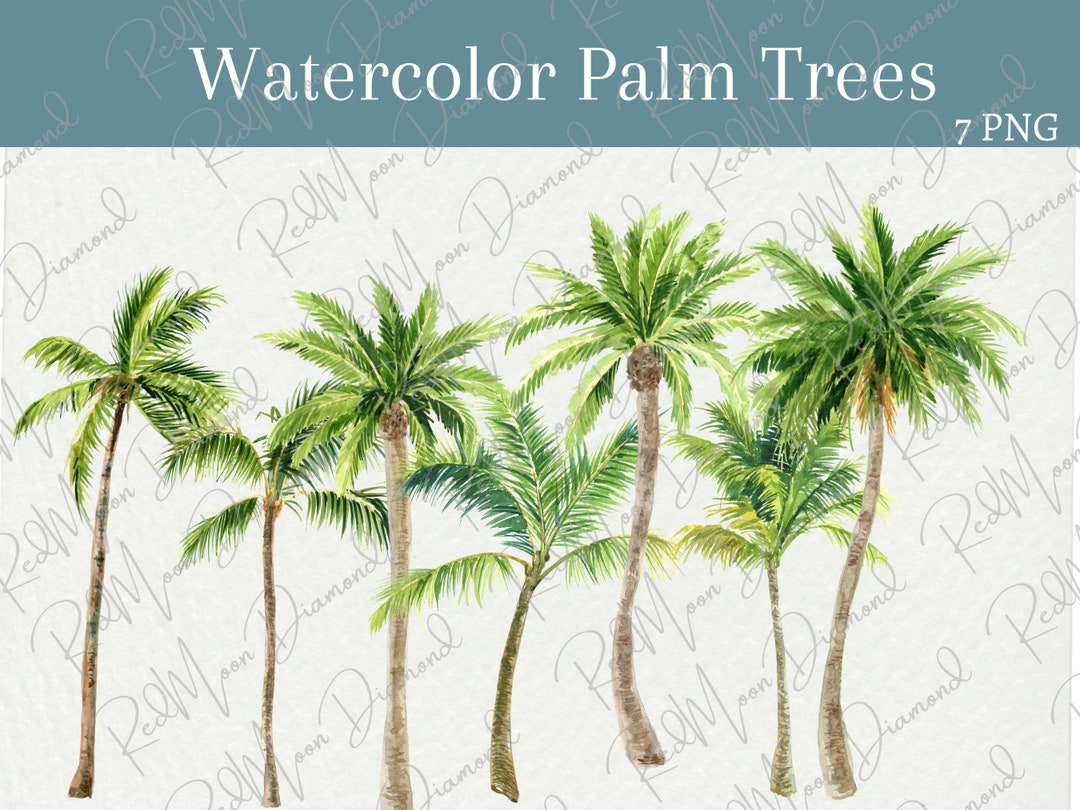 Boho Palm Tree Png Watercolor Palm Tree Clipart Hand-painted - Etsy
