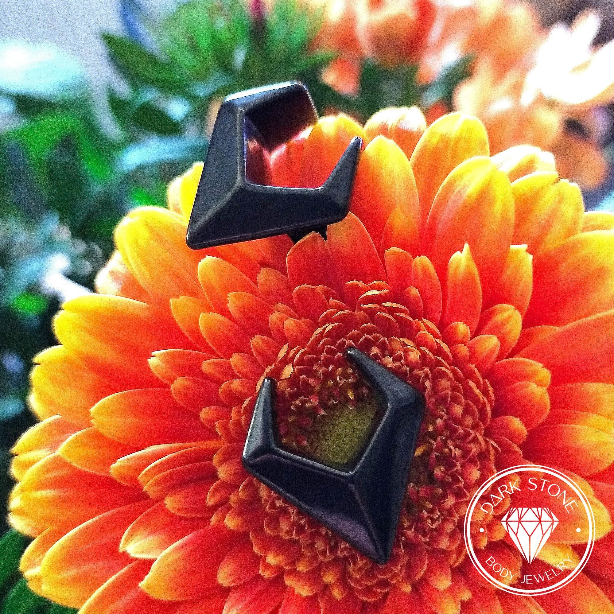 Spacers and Earplugs. Stainless Steel. Available From 8 to 25 Mm. Sold ...