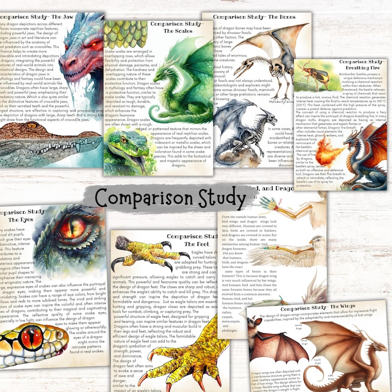 Dragons Unit Study, Mythology Unit Study, Dragon Anatomy, Dragon Life ...